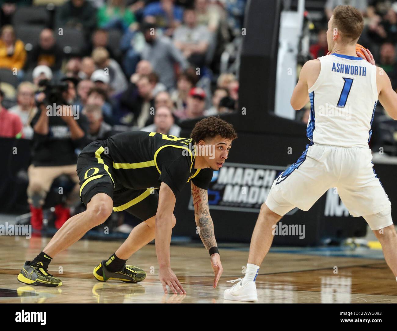 Quackattack hi-res stock photography and images - Alamy