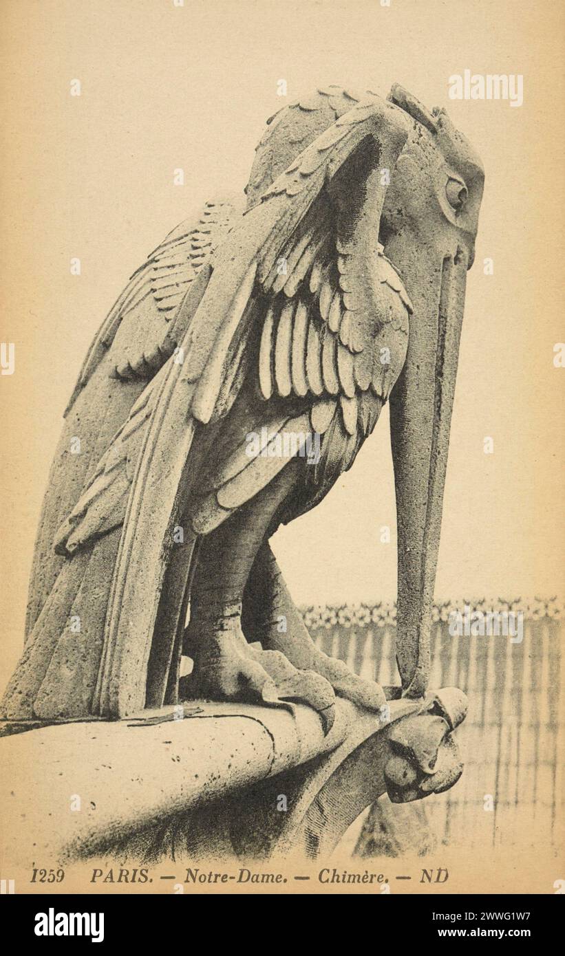 Scary cathedral statues hi-res stock photography and images - Alamy