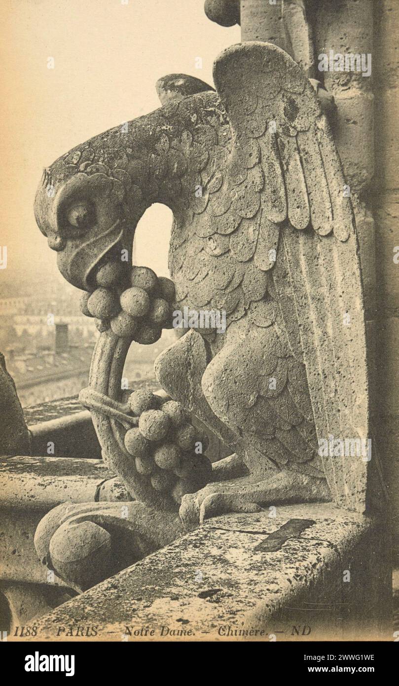 Black and white postcard of a grotesque Chimera statue on the roof of ...