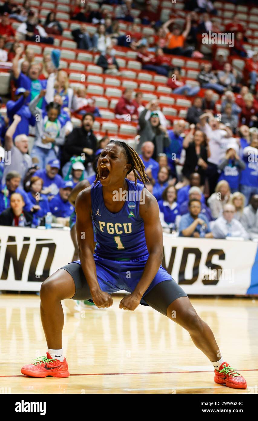 Basketball drawing hi-res stock photography and images - Alamy