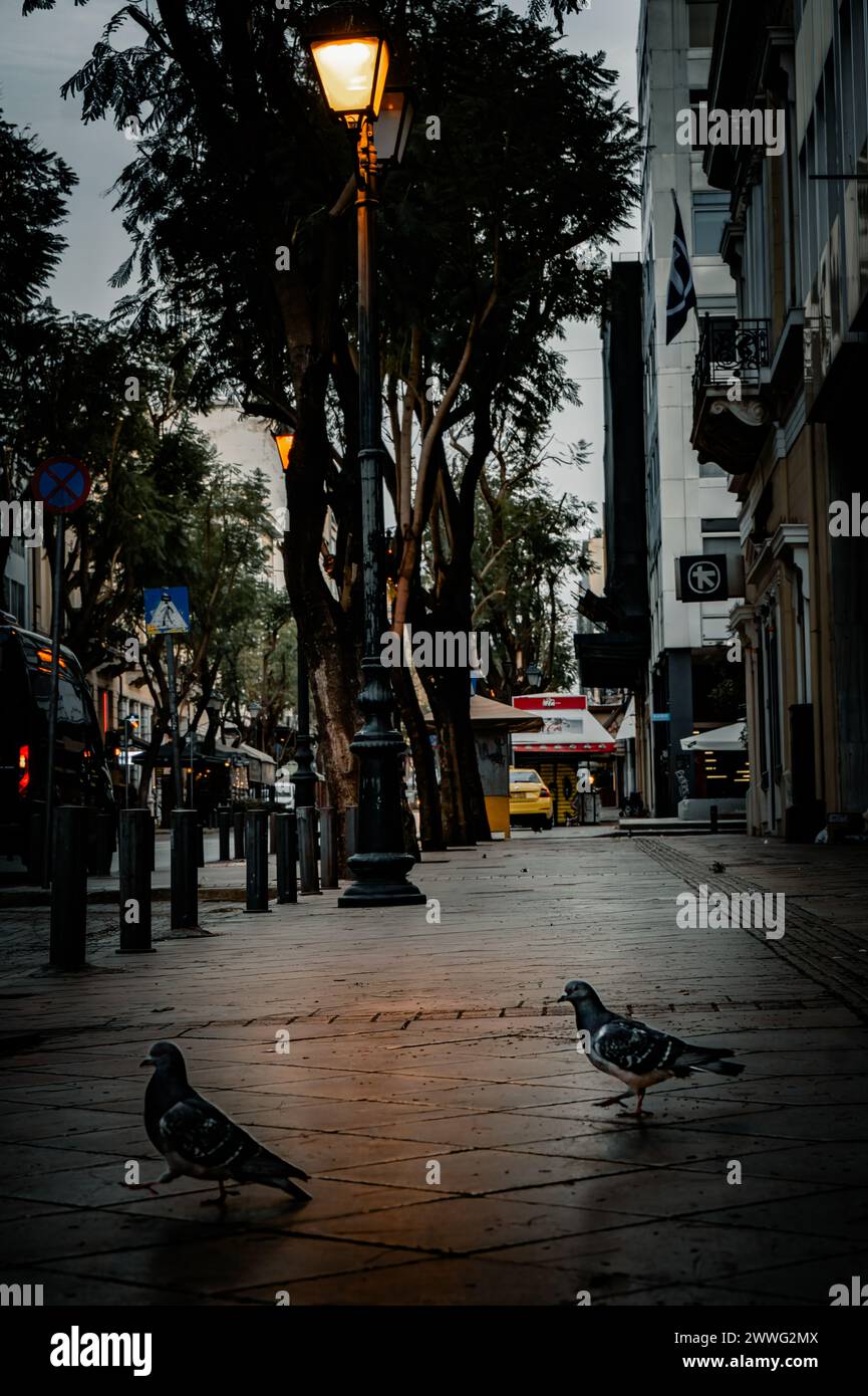 A streetlight stands alone on an empty city sidewalk at dusk Stock ...