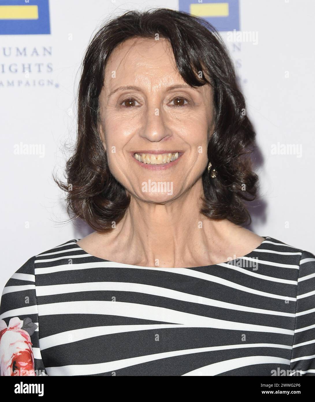 Los Angeles, USA. 24th Mar, 2024. Gwen Baba arrives at the Human Rights ...