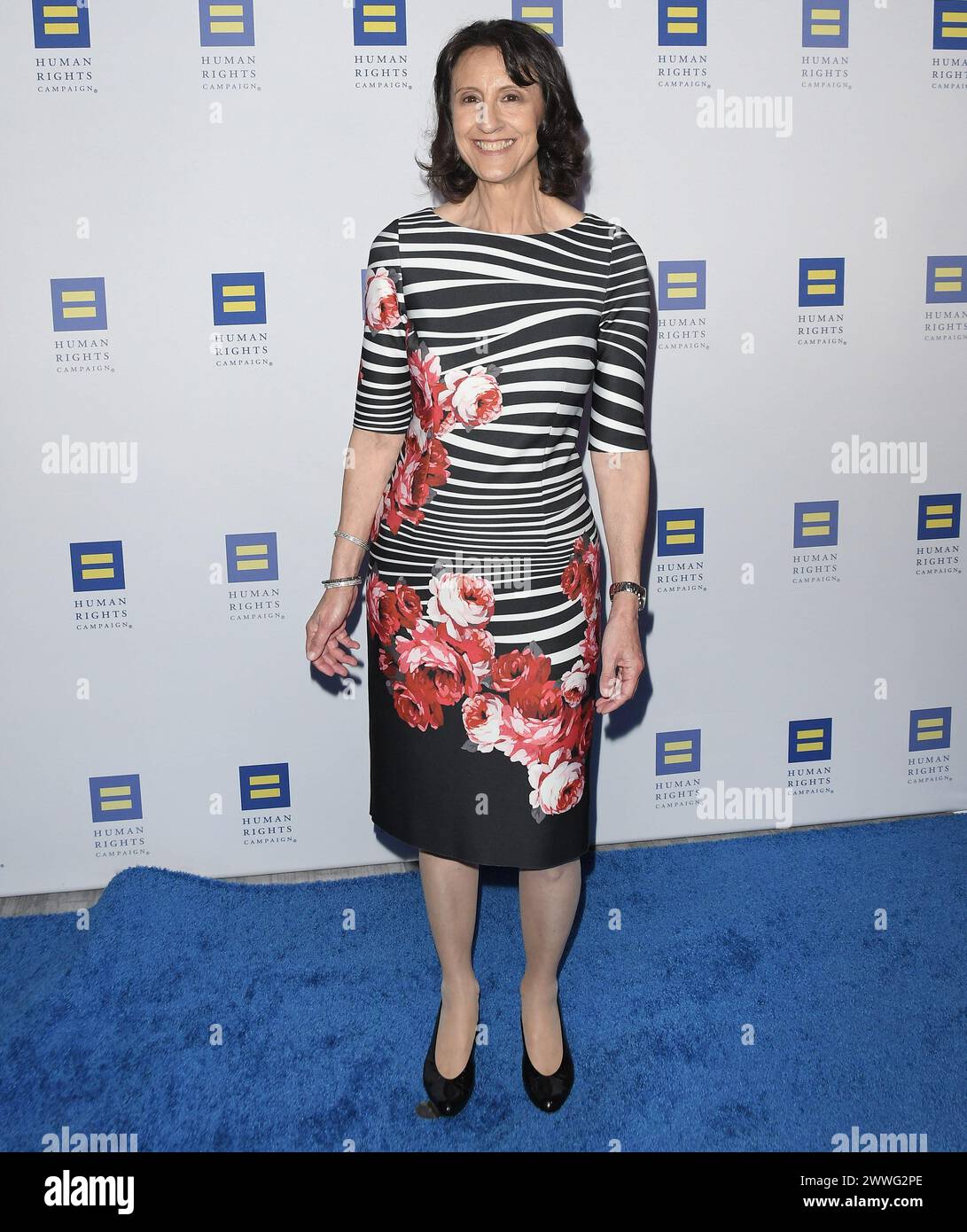 Los Angeles, USA. 24th Mar, 2024. Gwen Baba arrives at the Human Rights ...