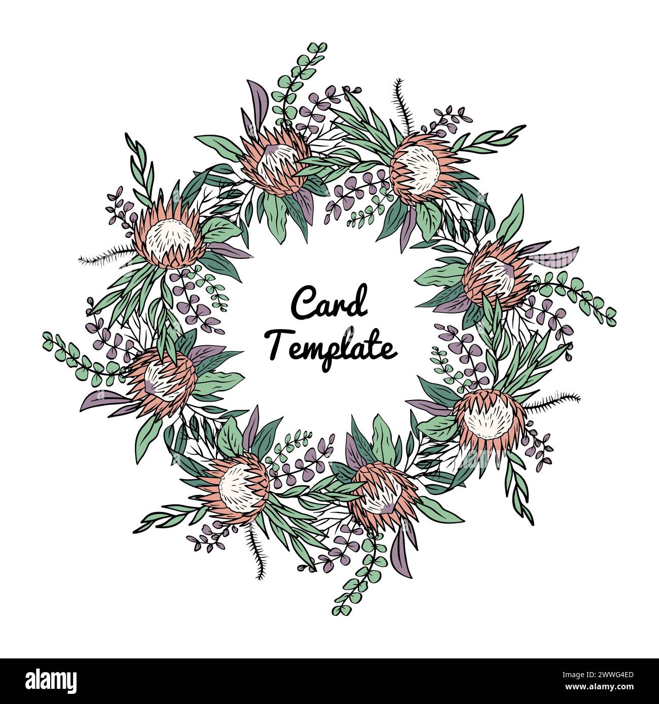 Hand drawn colorful line art tropical protea flower round frame Stock ...