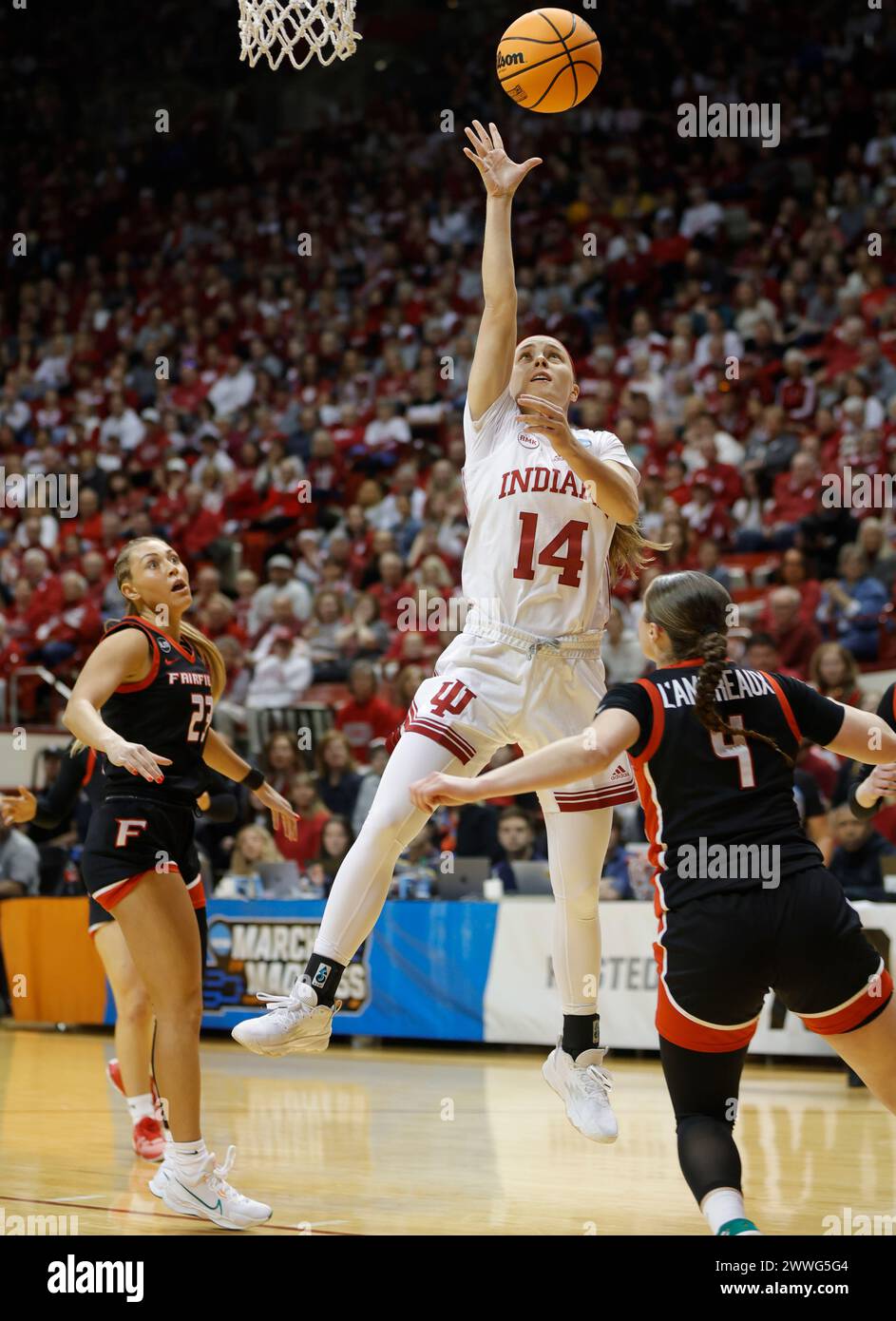 Kaety lamoreaux hi-res stock photography and images - Alamy