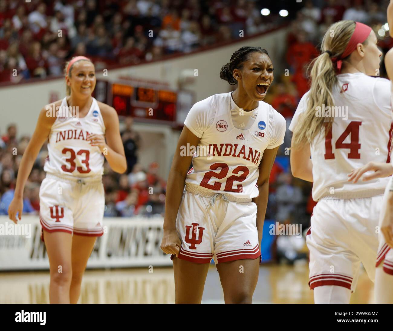 Bloomington, United States. 23rd Mar, 2024. Indiana Hoosiers guard ...