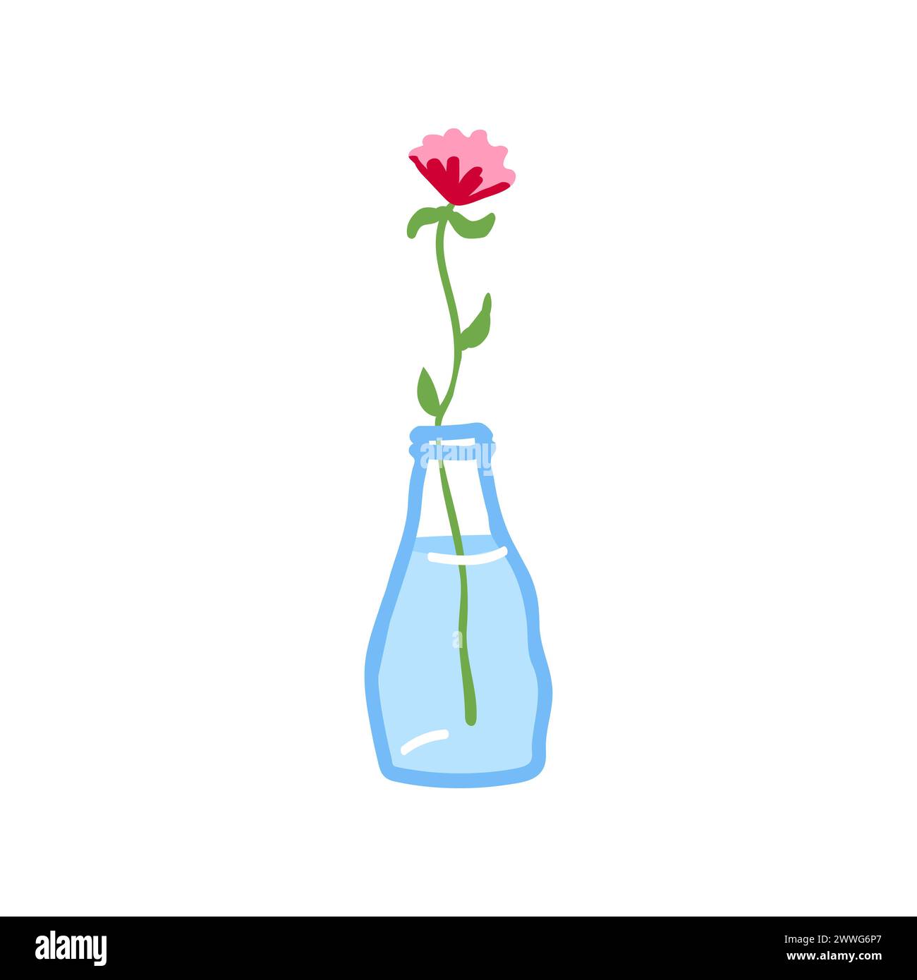 Fresh flower in glass vase. Fragile delicate stems in water. Cut floral ...