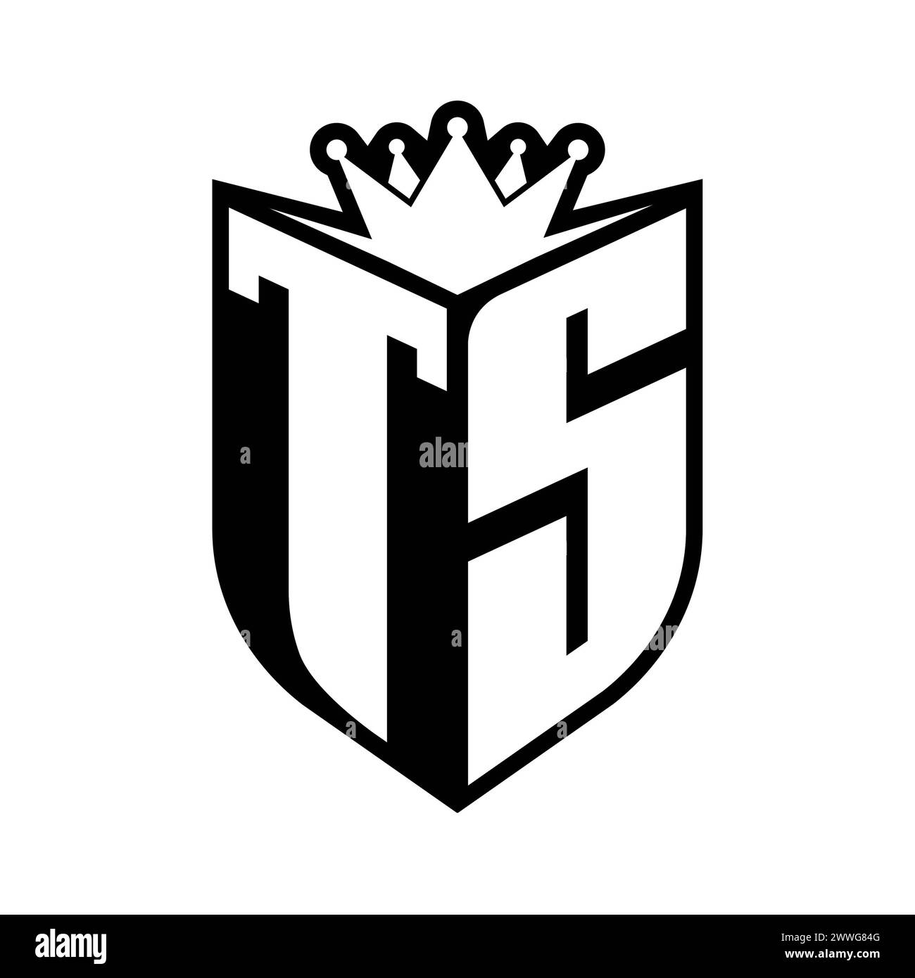Ts Letter Bold Monogram With Shield Shape And Sharp Crown Inside Shield Black And White Color