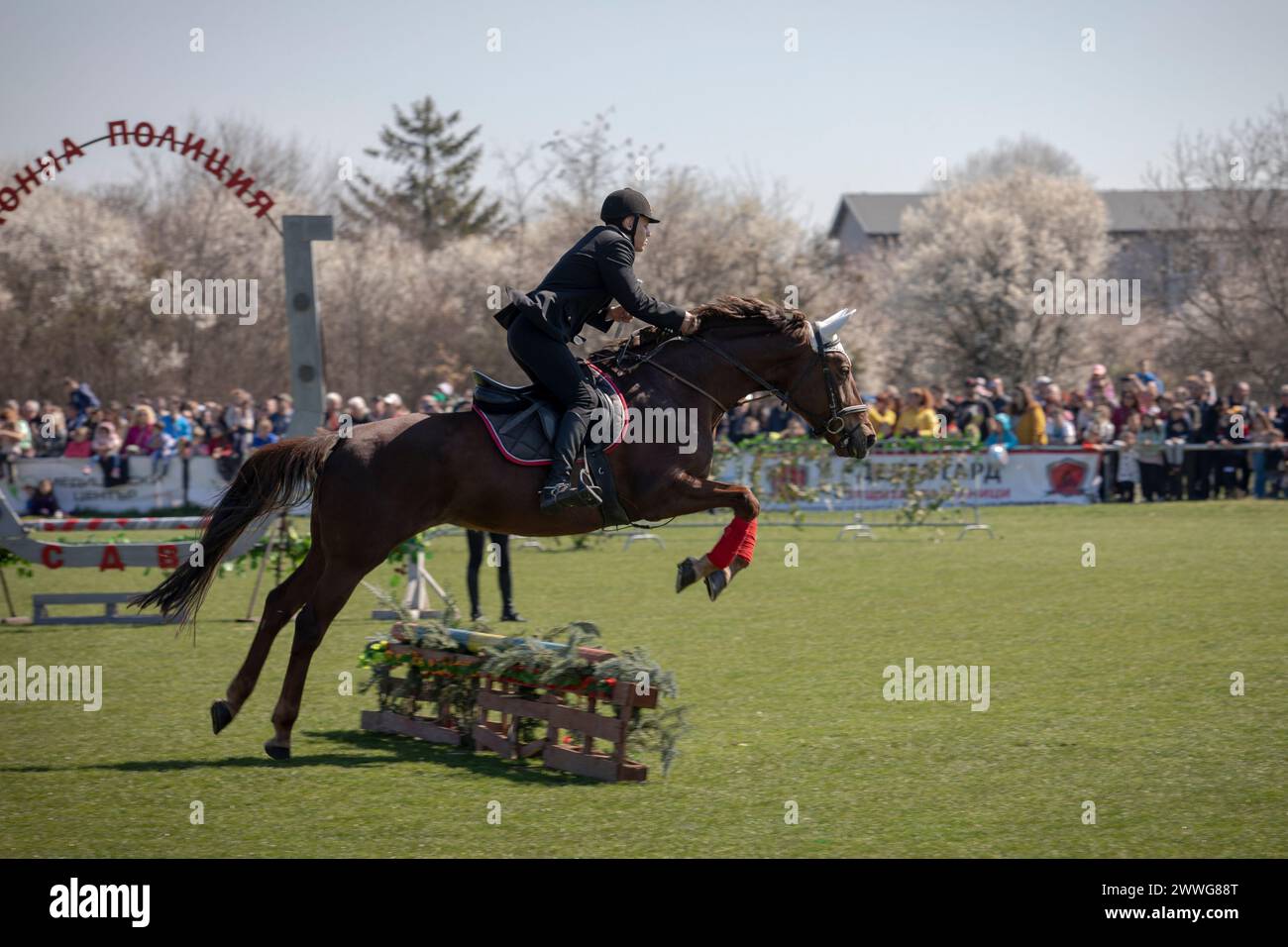 Sofia, Bulgaria - March 23, 2024: Horse Easter or Theodore Day in ...
