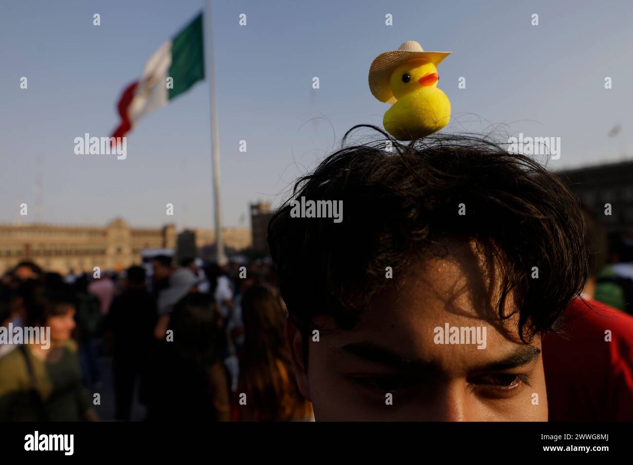 Mexico spring night festival 2024 hi-res stock photography and images ...