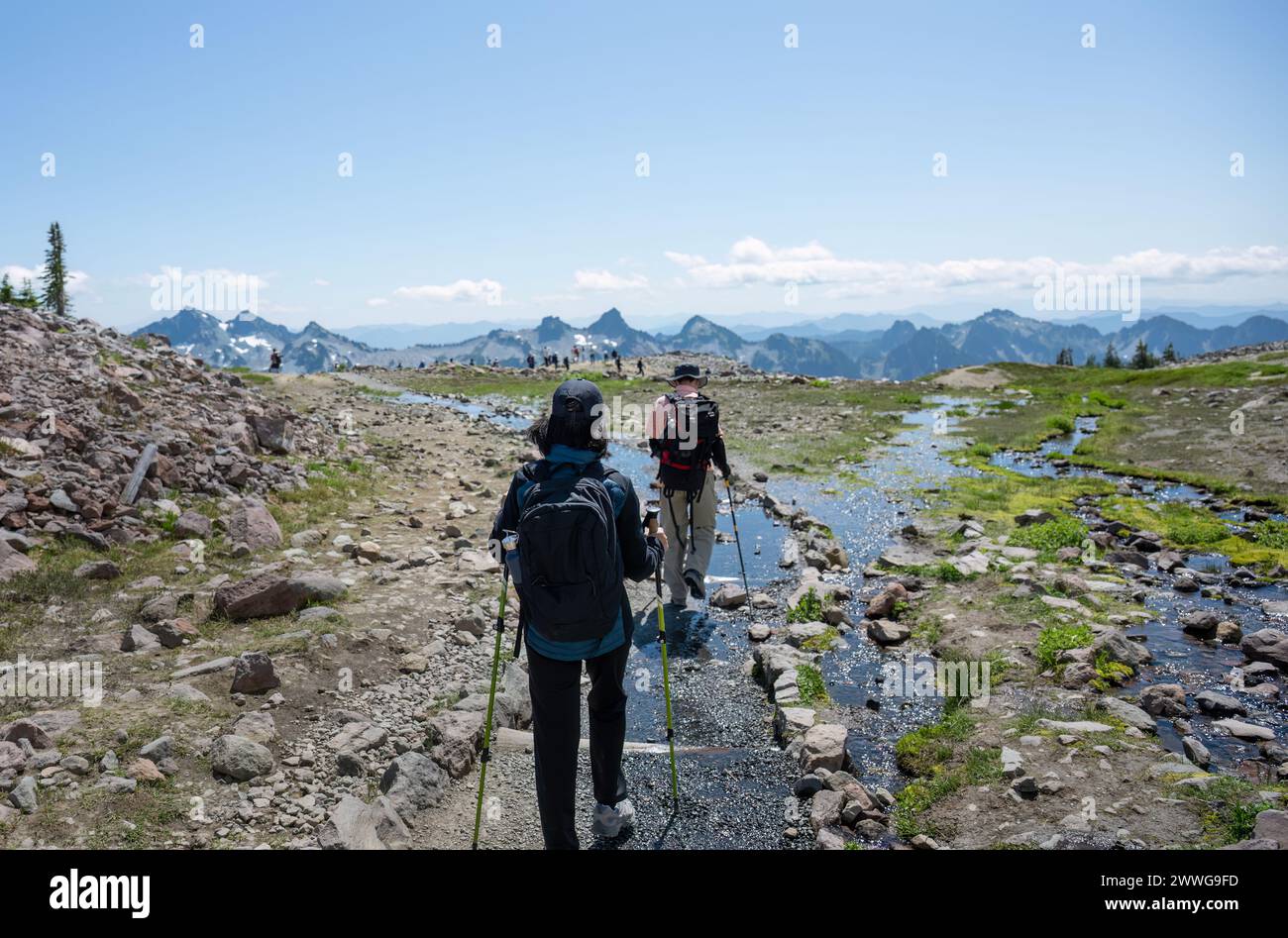 Couple crossing the stream at Skyline Loop Trail in summer ...
