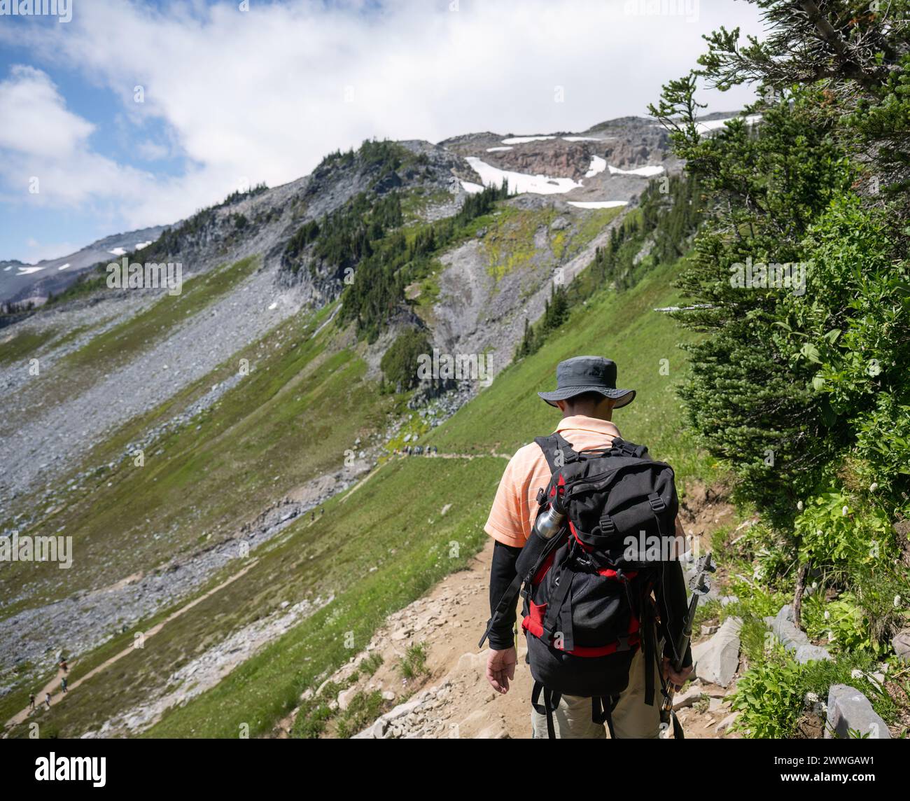 Man hiking the rugged hills at Skyline Trail. Mt Rainier National Park ...