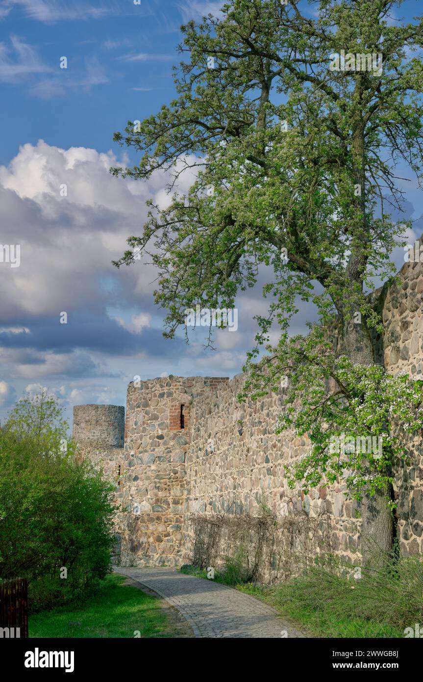 historic Town Wall in Templin,Brandenburg State,Uckermark District ...