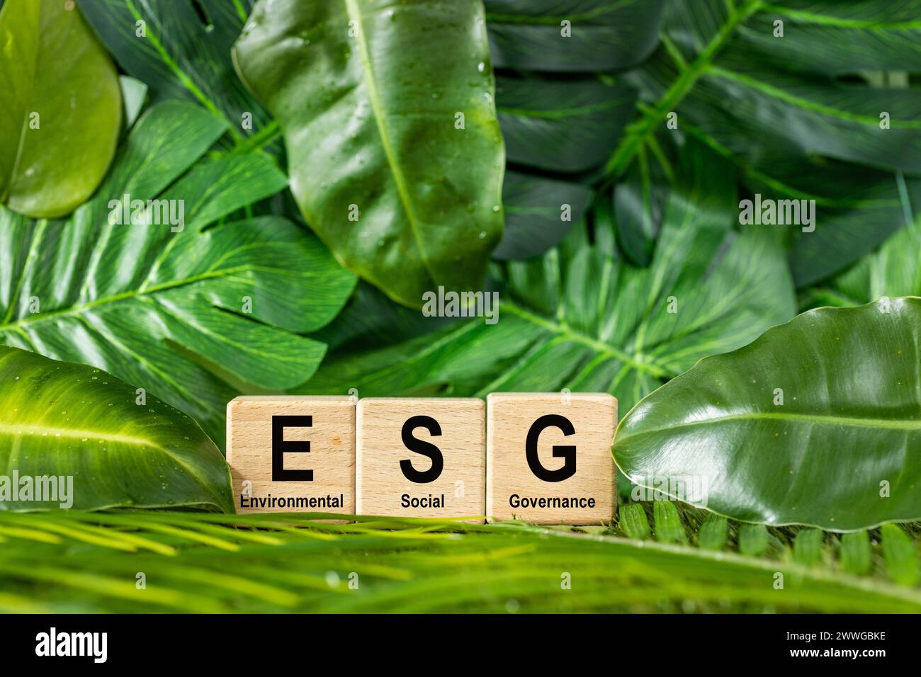 Wooden cube with text "ESG" background beautiful natural greenery of ...