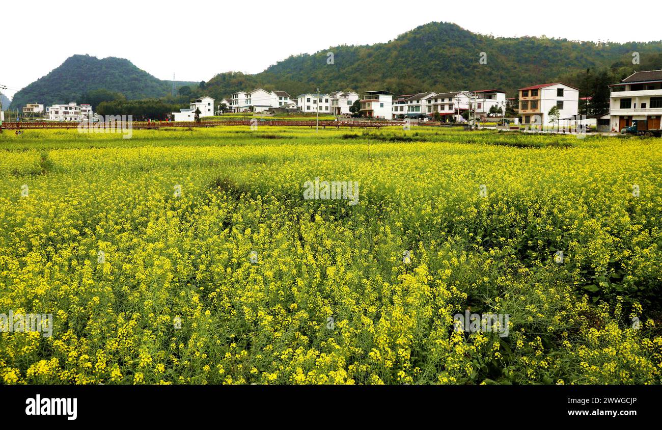 Nanning. 5th Mar, 2024. A drone photo taken on March 5, 2024 shows a ...