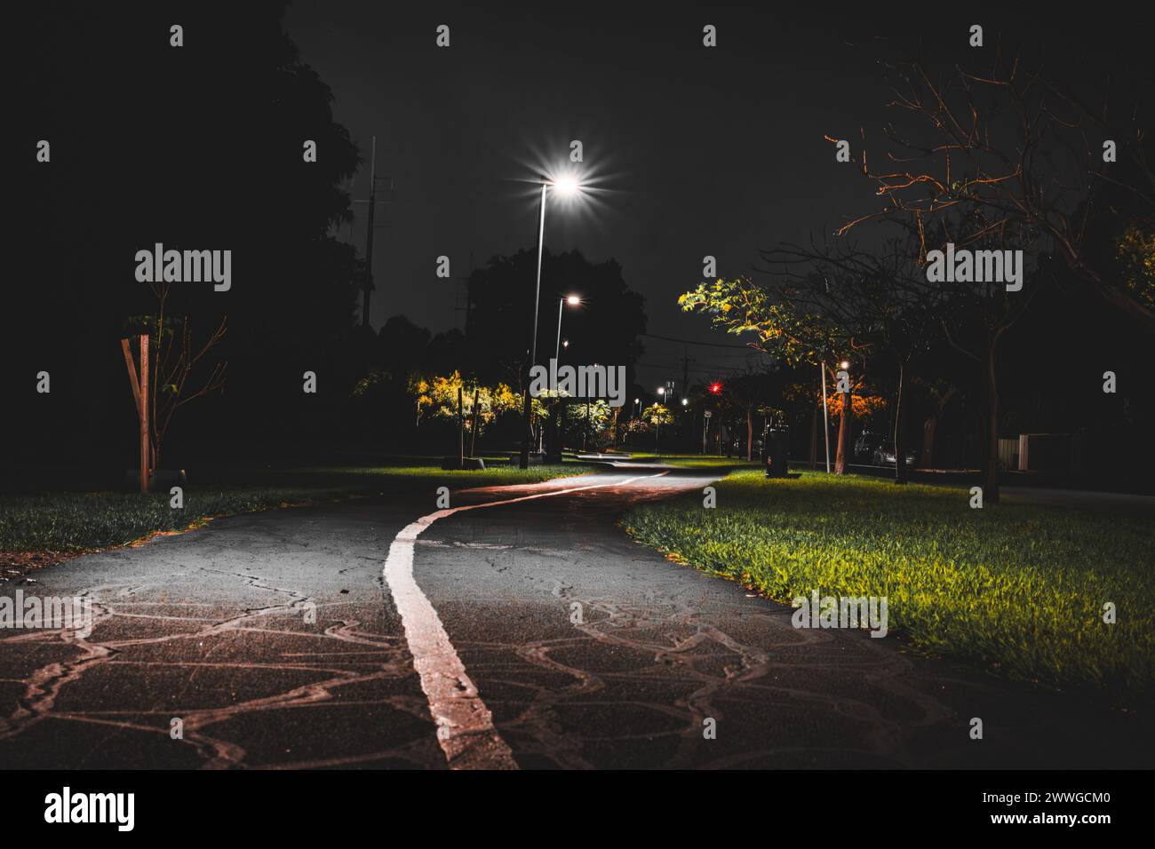 A winding pathway under the calming glow of street lamps at night Stock ...