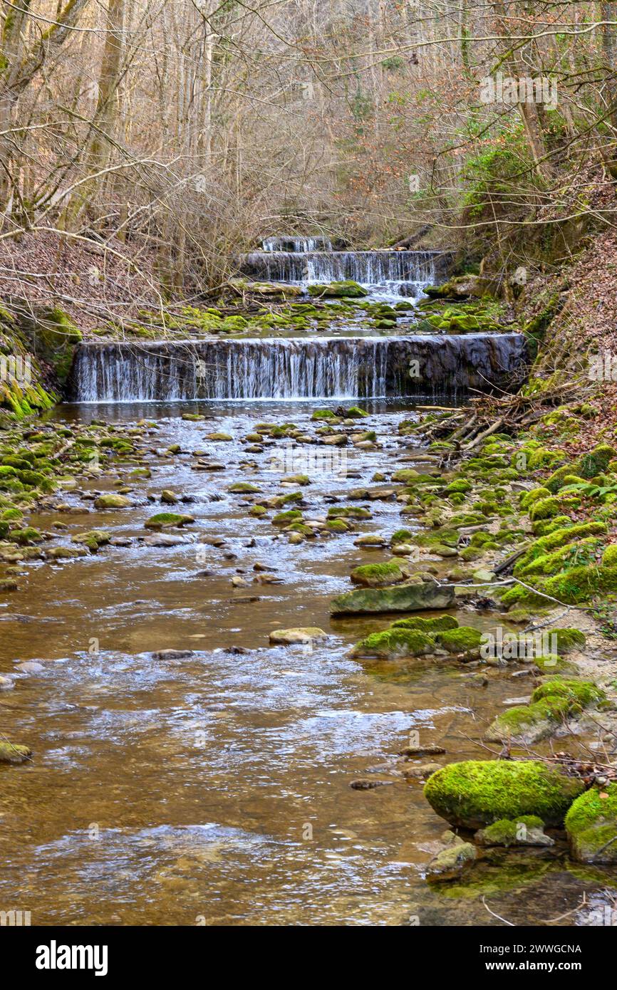 Cascading waterfalls in a forest stream, surrounded by the vibrant ...