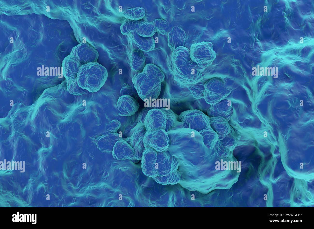 Particles embedded in biopolymer gel - 3d illustration top view Stock ...
