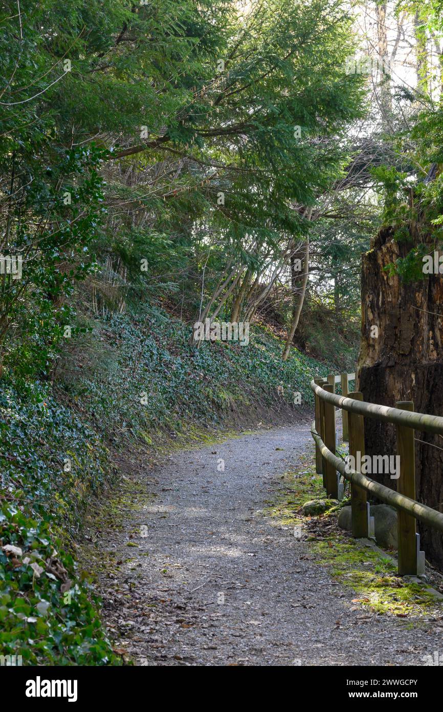 A gravel path with a rustic wooden fence guides hikers through a serene ...