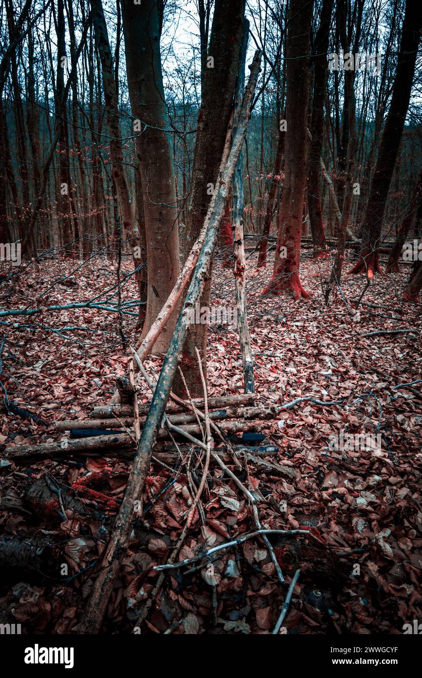 A cross of fallen branches in a forest adorned with crimson leaves sets ...