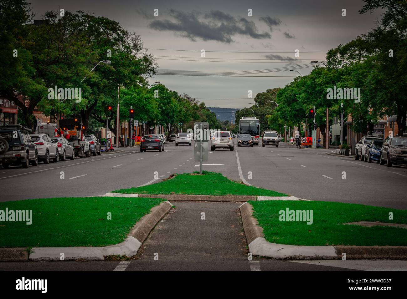 An empty city median stretches out with lush green trees lining the ...