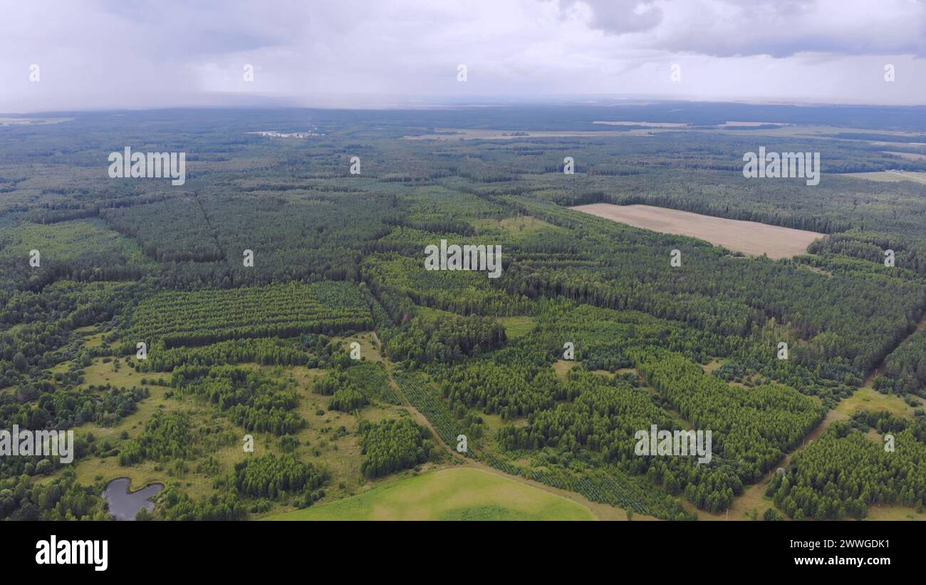 Aerial view of forests and fields Stock Photo - Alamy