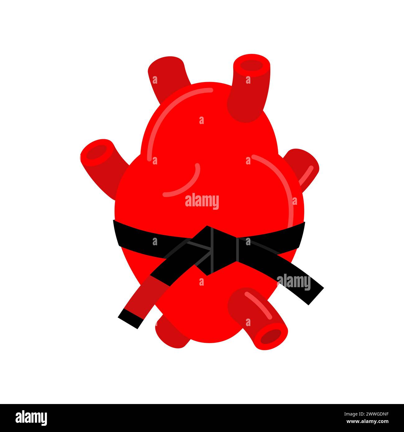 Judo belt Stock Vector Images - Alamy