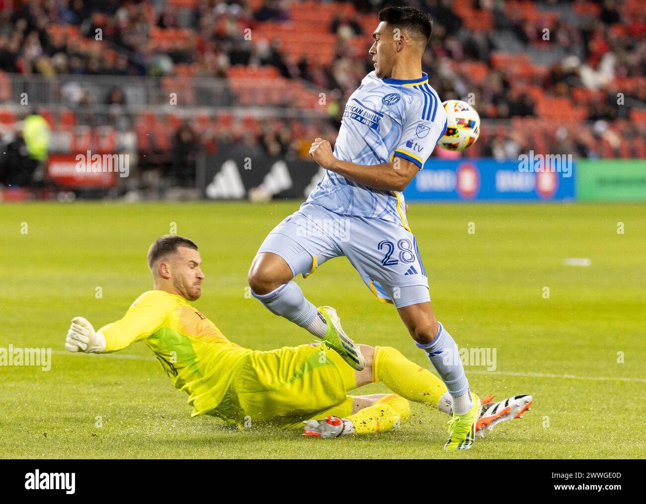 L wolff hi-res stock photography and images - Alamy