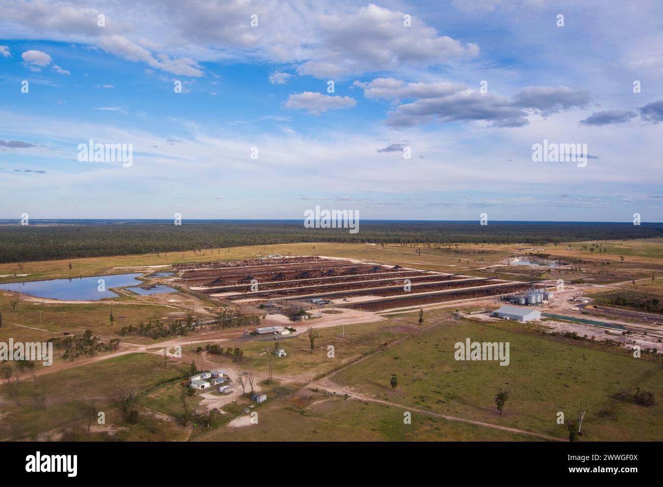 Cattle feed lot hi-res stock photography and images - Alamy