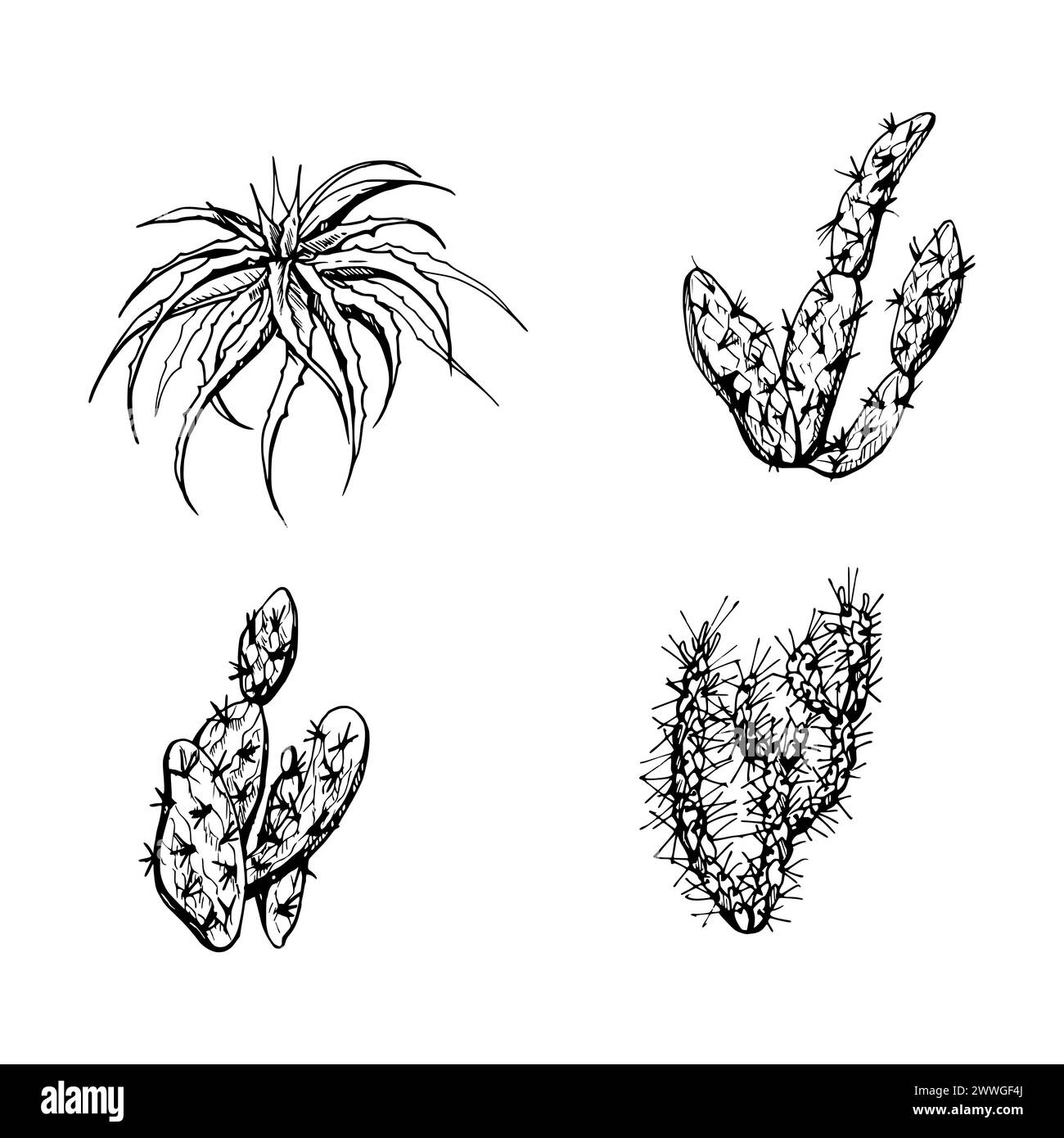 áfrica central tropical Black and White Stock Photos & Images - Alamy