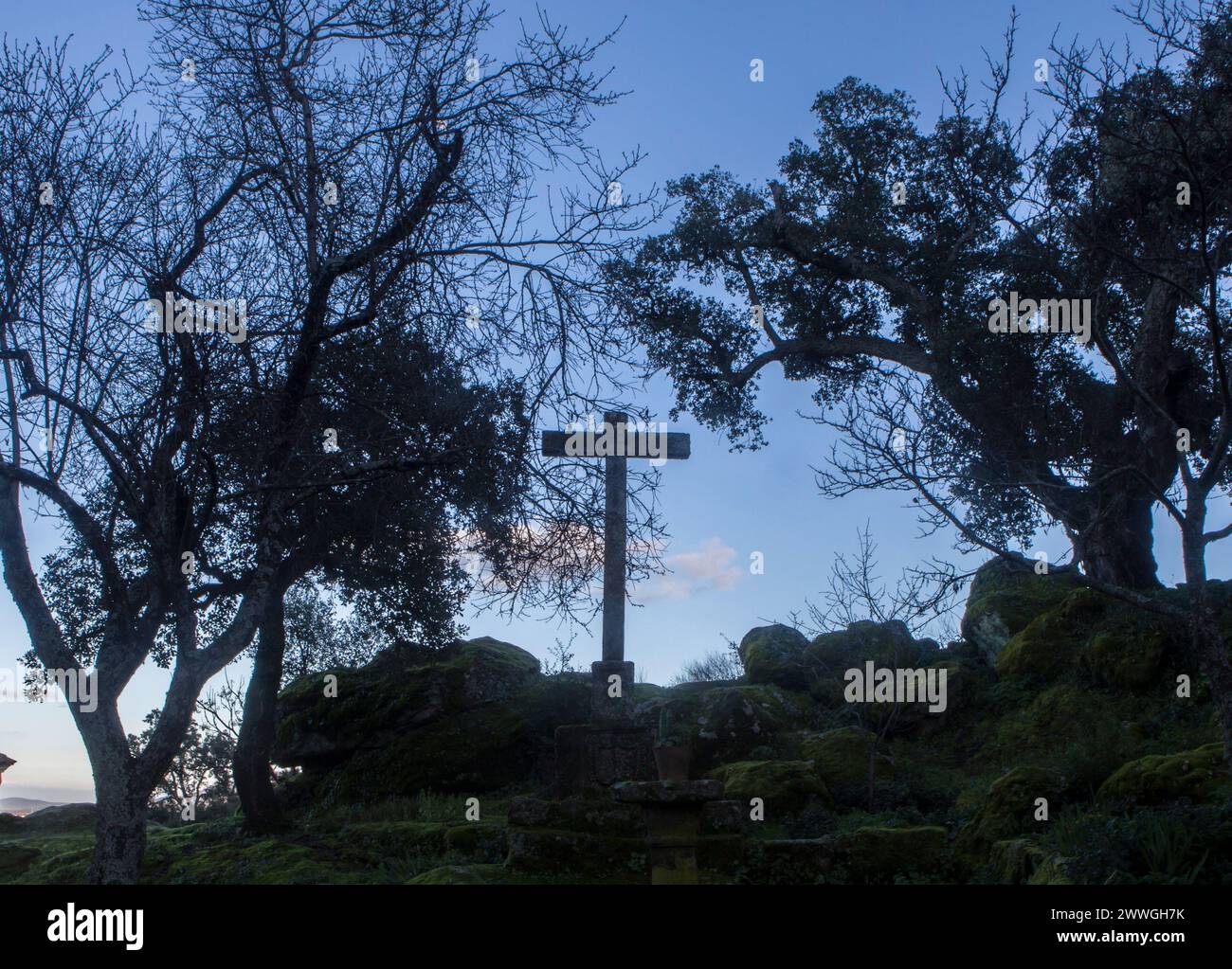 T shaped cross hi-res stock photography and images - Alamy