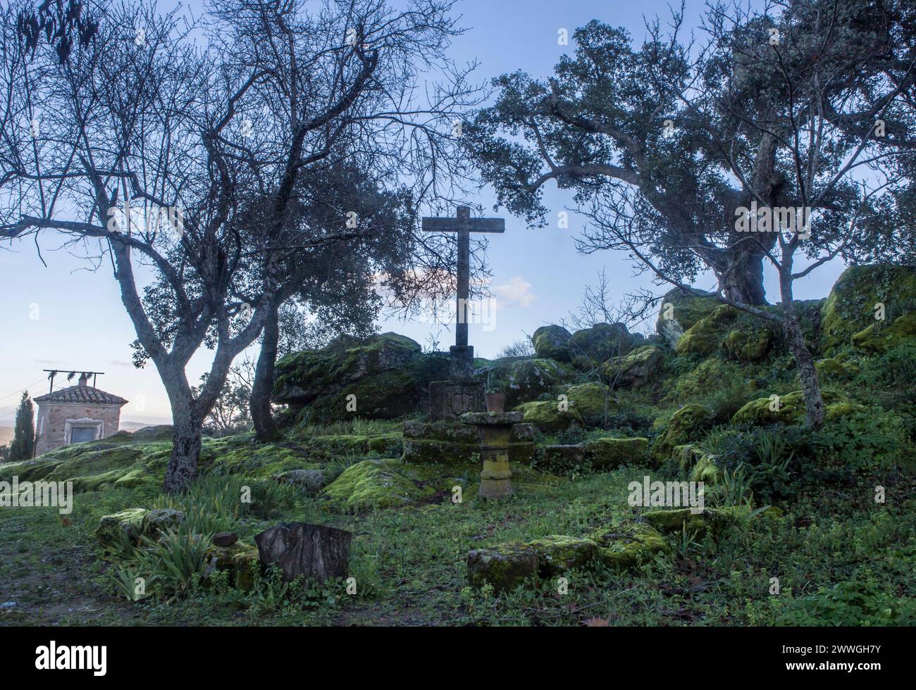 T shaped cross hi-res stock photography and images - Alamy