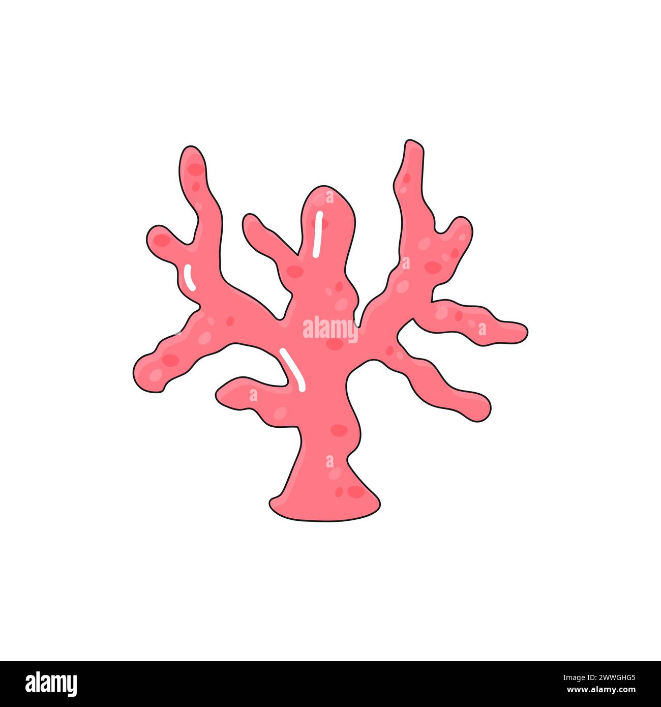 cute seaweed, coral, set on white background. Underwater world. vector ...
