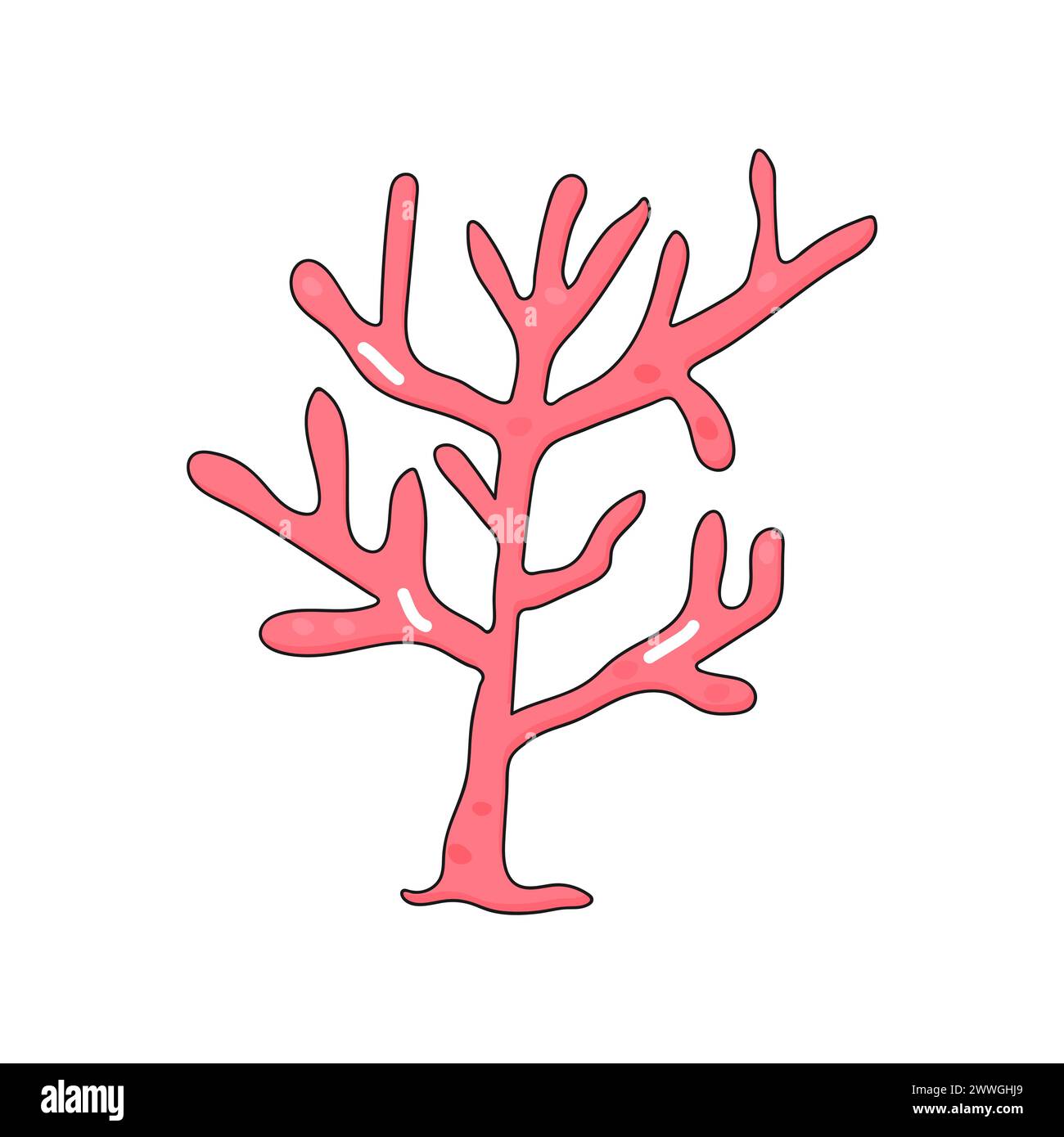cute seaweed, coral, set on white background. Underwater world. vector ...