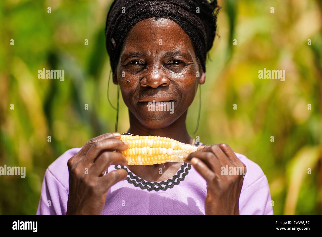 Trocaire box hi-res stock photography and images - Alamy