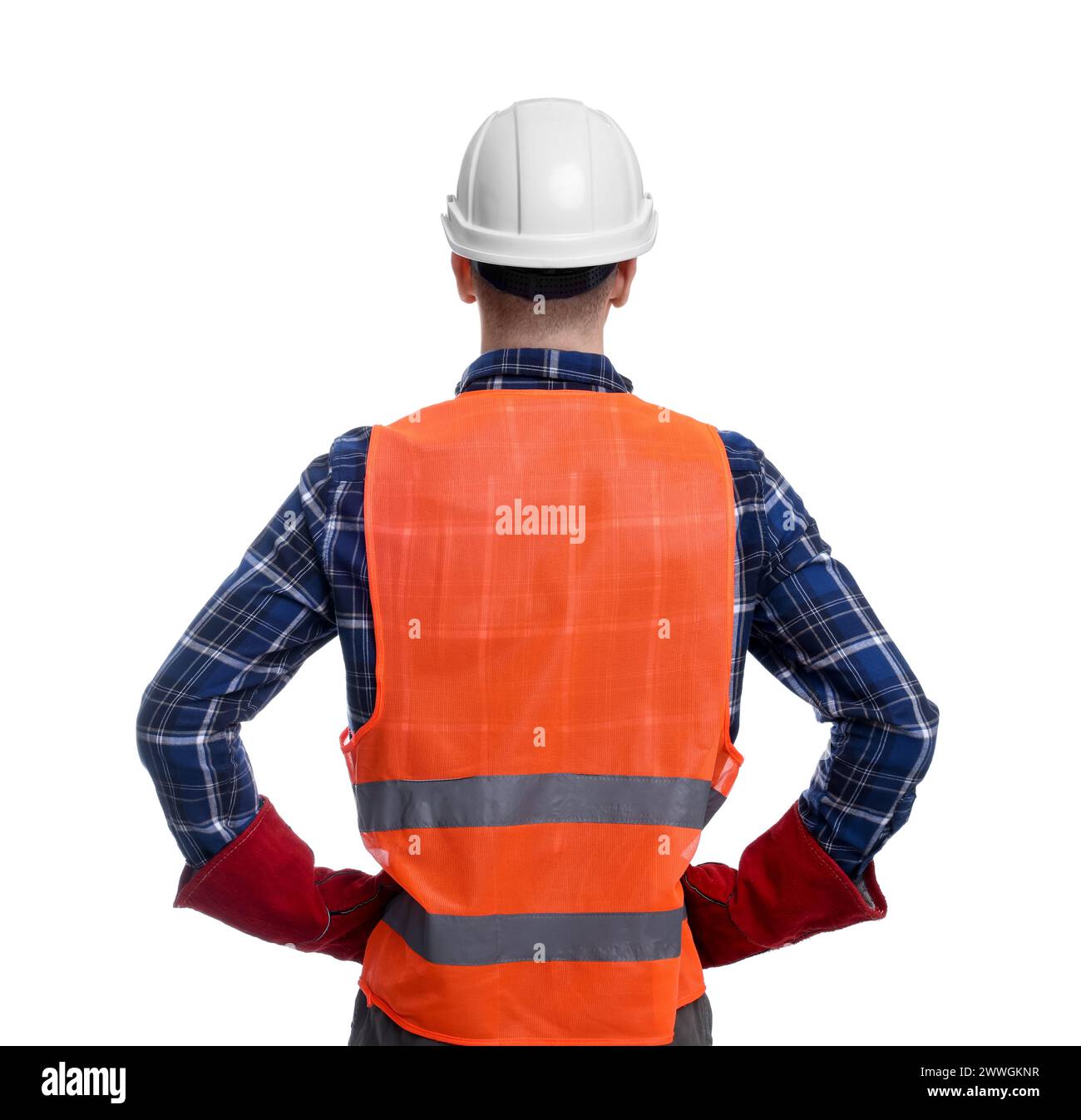 Young man wearing safety equipment on white background, back view Stock ...