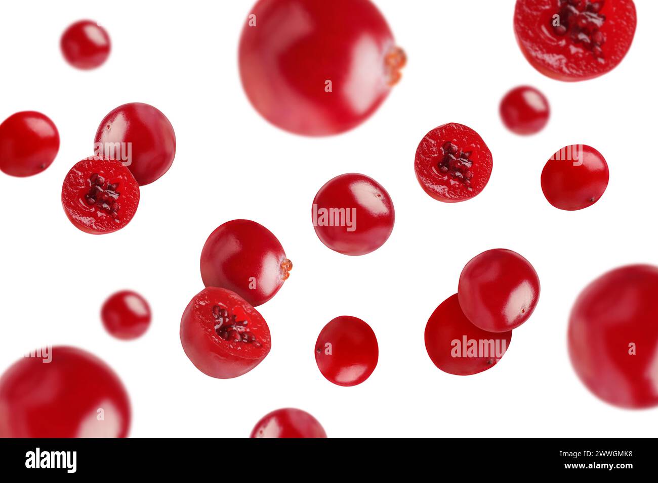 Fresh red cranberries falling on white background Stock Photo - Alamy