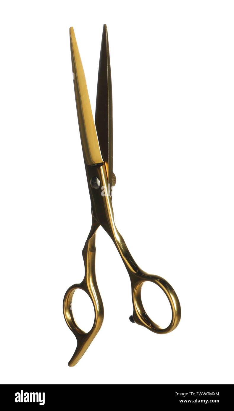 Professional hairdresser scissors isolated on white. Haircut tool Stock ...