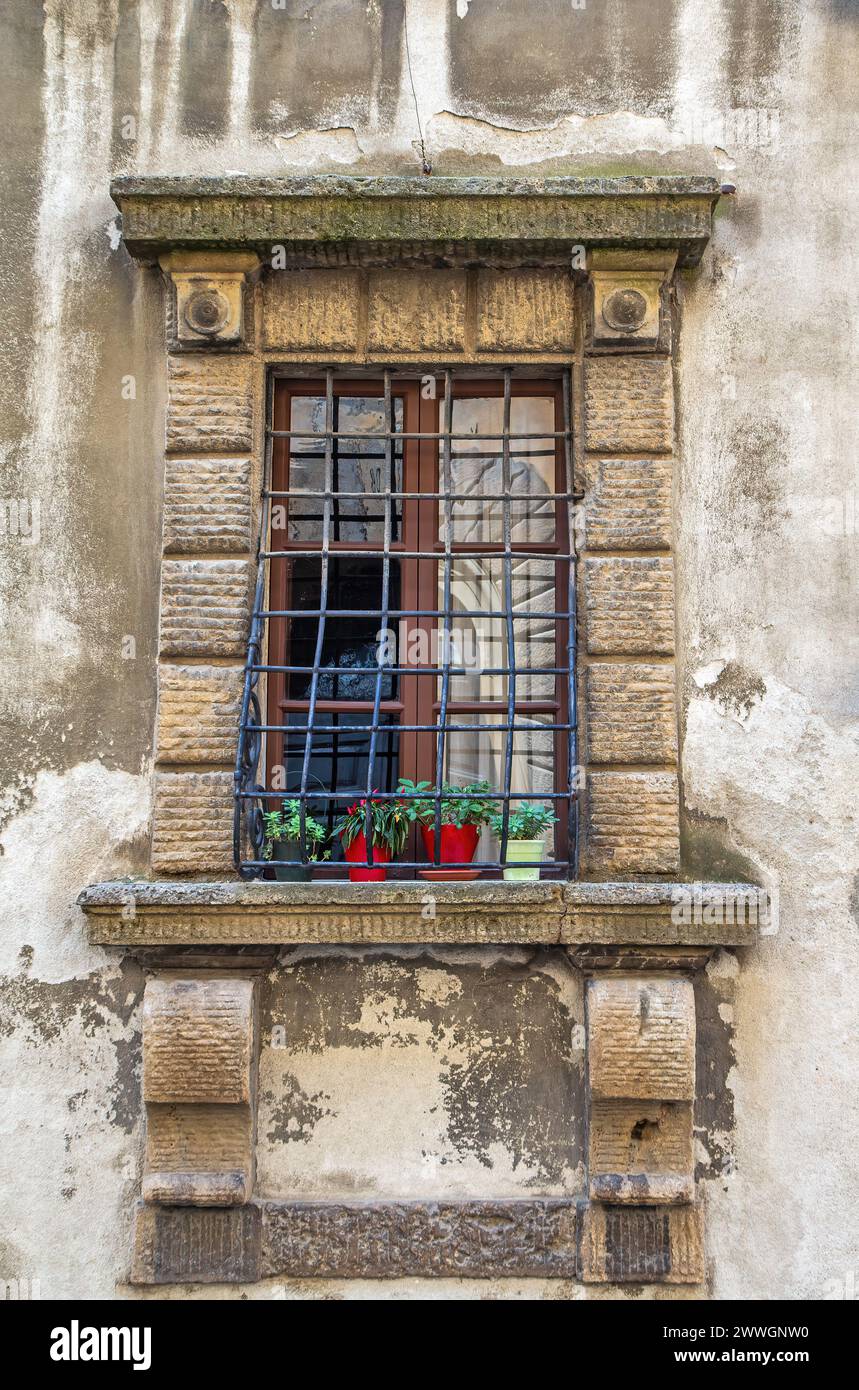 Old medieval barred window with flower pots and plants on the ...