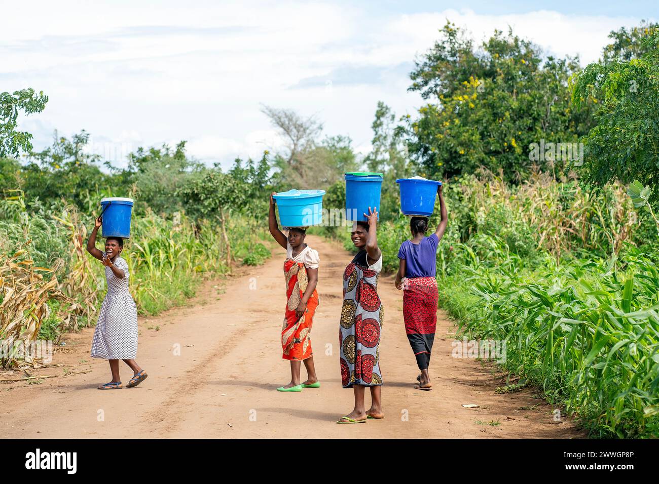 Women Carry Grain And Water In Buckets In The Balaka District Of Malawi Trocaire Is Training