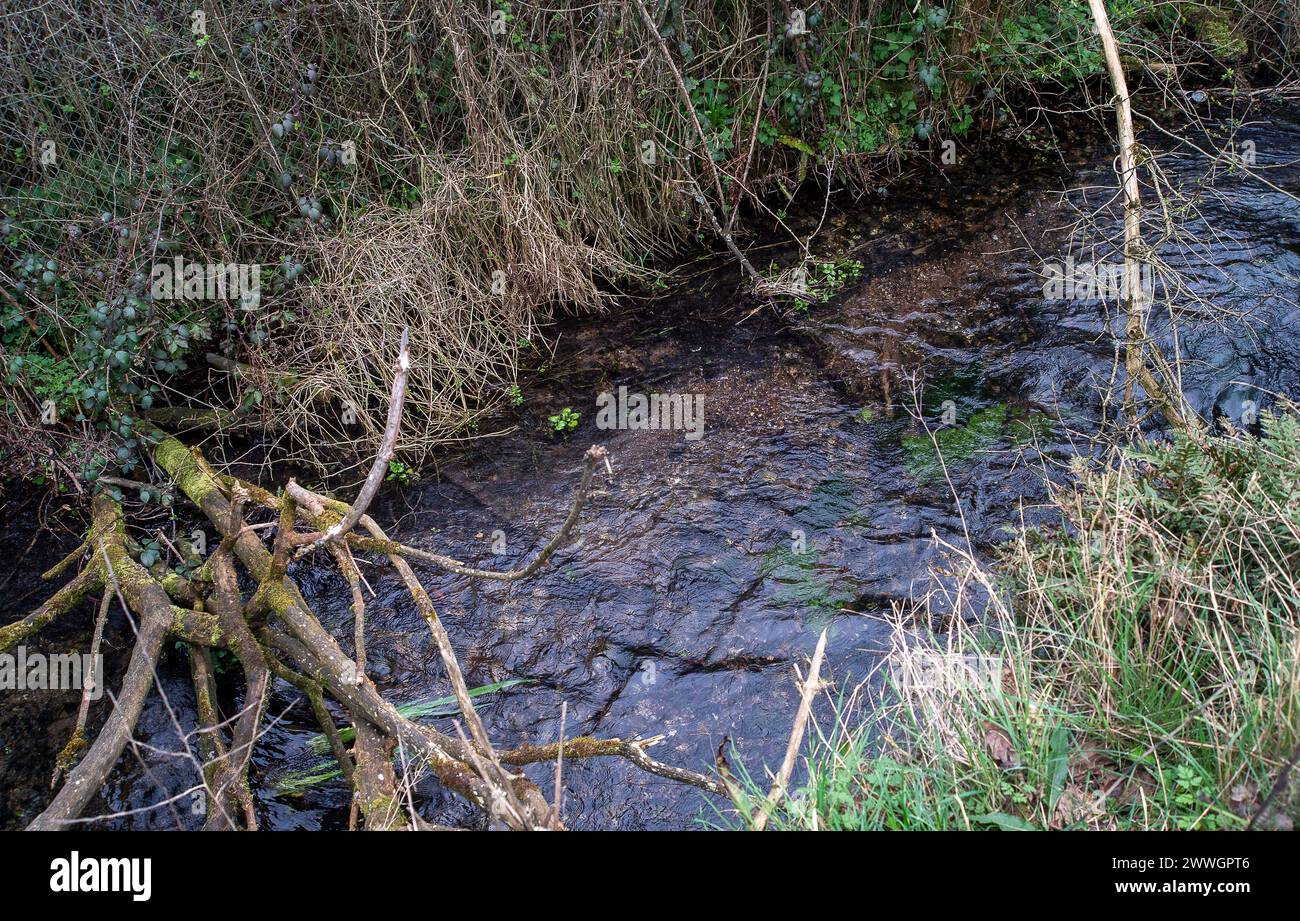 River chess association hi-res stock photography and images - Alamy