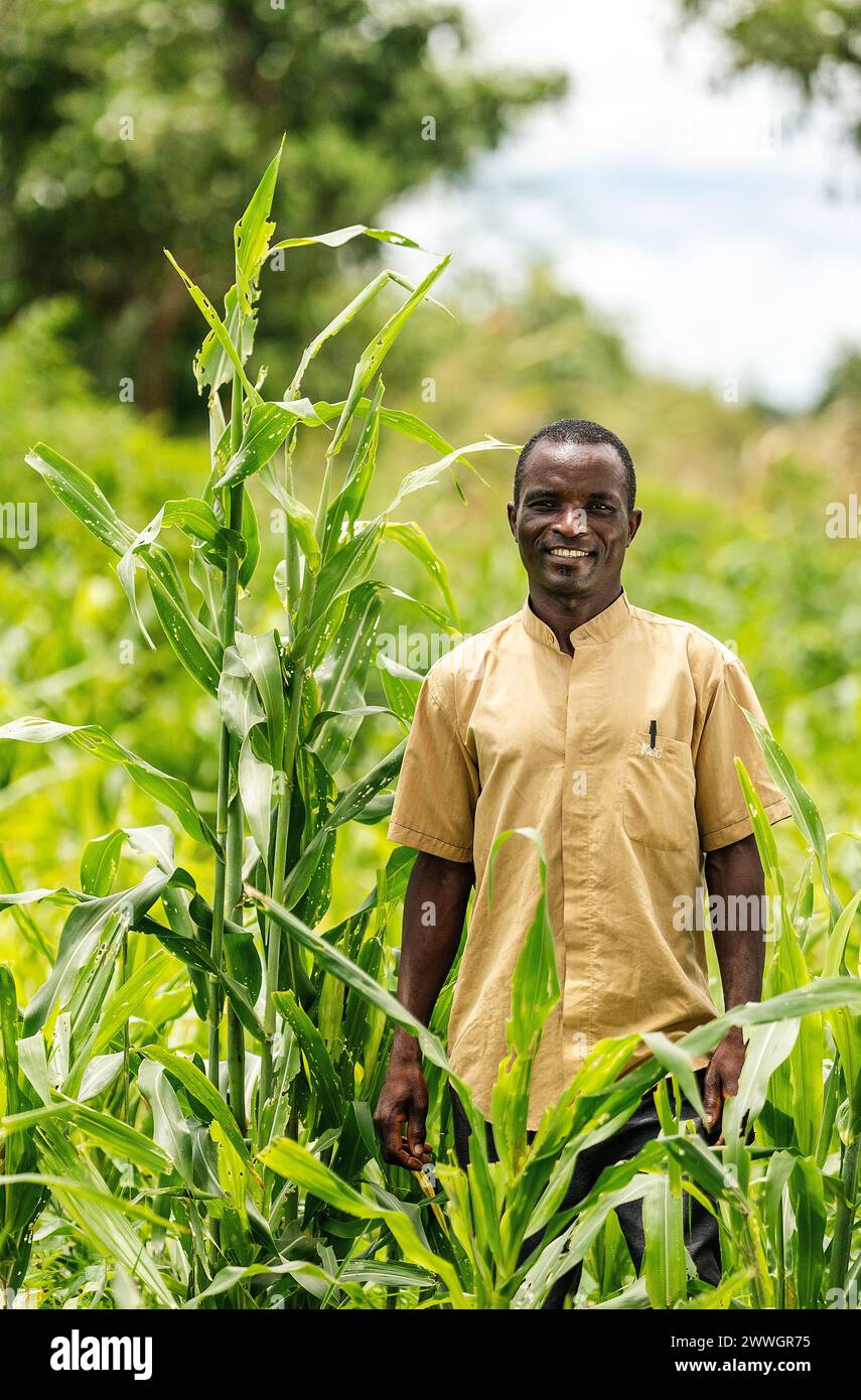 Farmer Simeon Kauinga, 40, with some of his maize crop in the Balaka ...