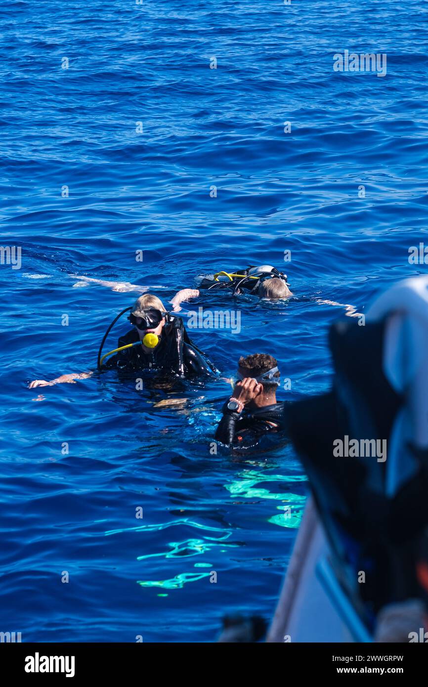 Scuba diver before diving. A diving lesson in open water Stock Photo ...