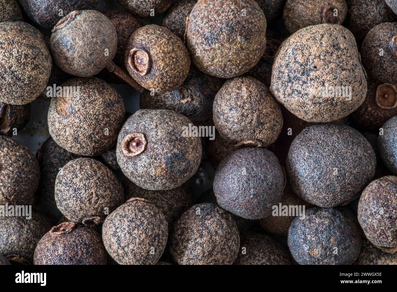 Texture of allspice grains in close-up Stock Photo - Alamy