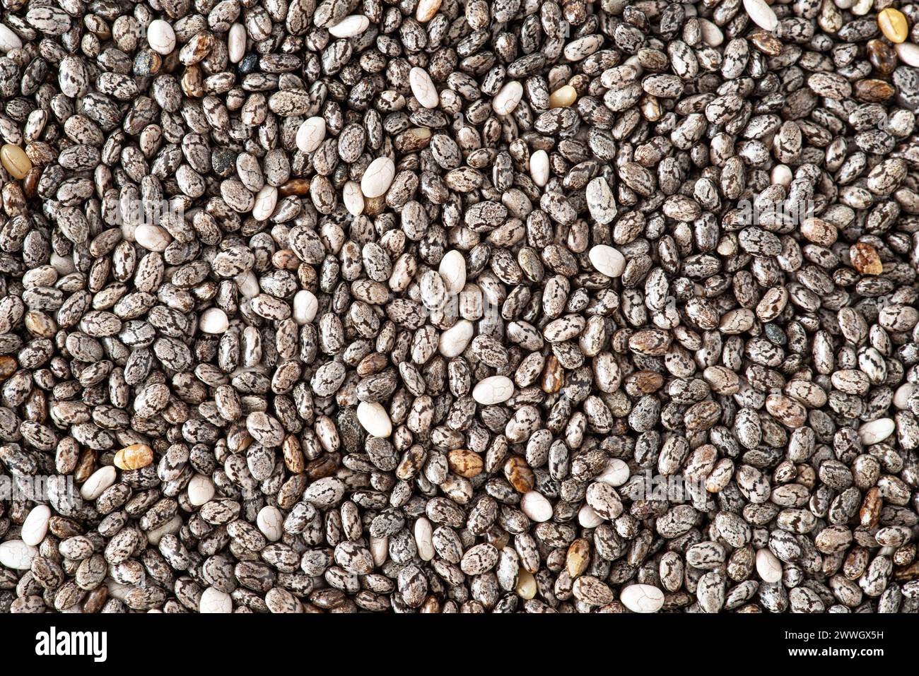 Texture of grey chia seeds seen from the side Stock Photo - Alamy