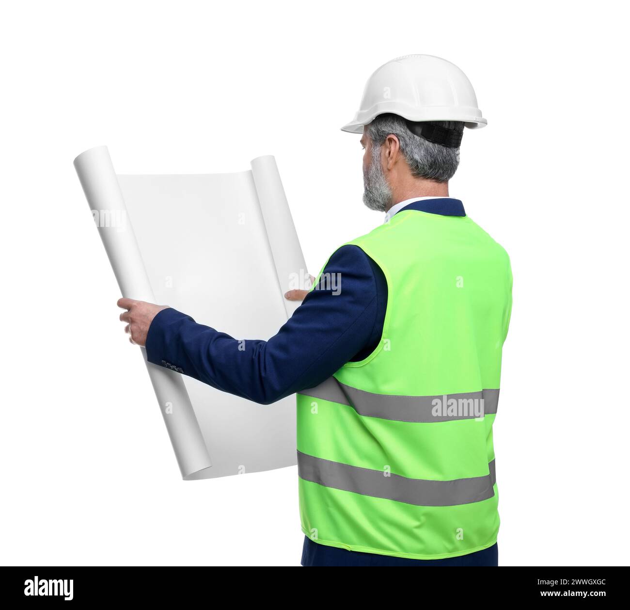 Architect in hard hat holding draft on white background, back view ...
