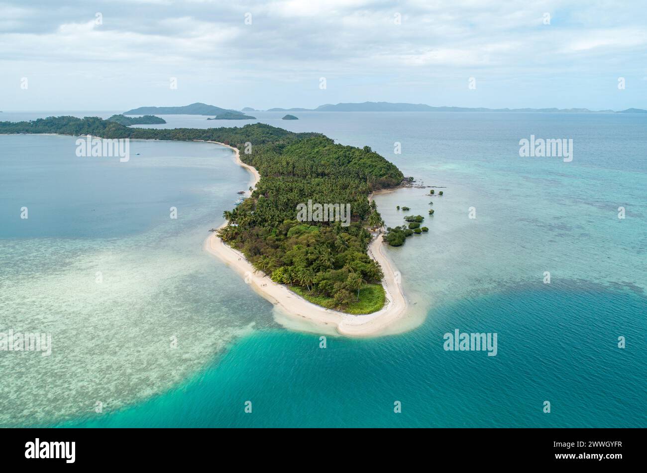 Aerial view of a tropical island with palm trees and white sand beaches ...