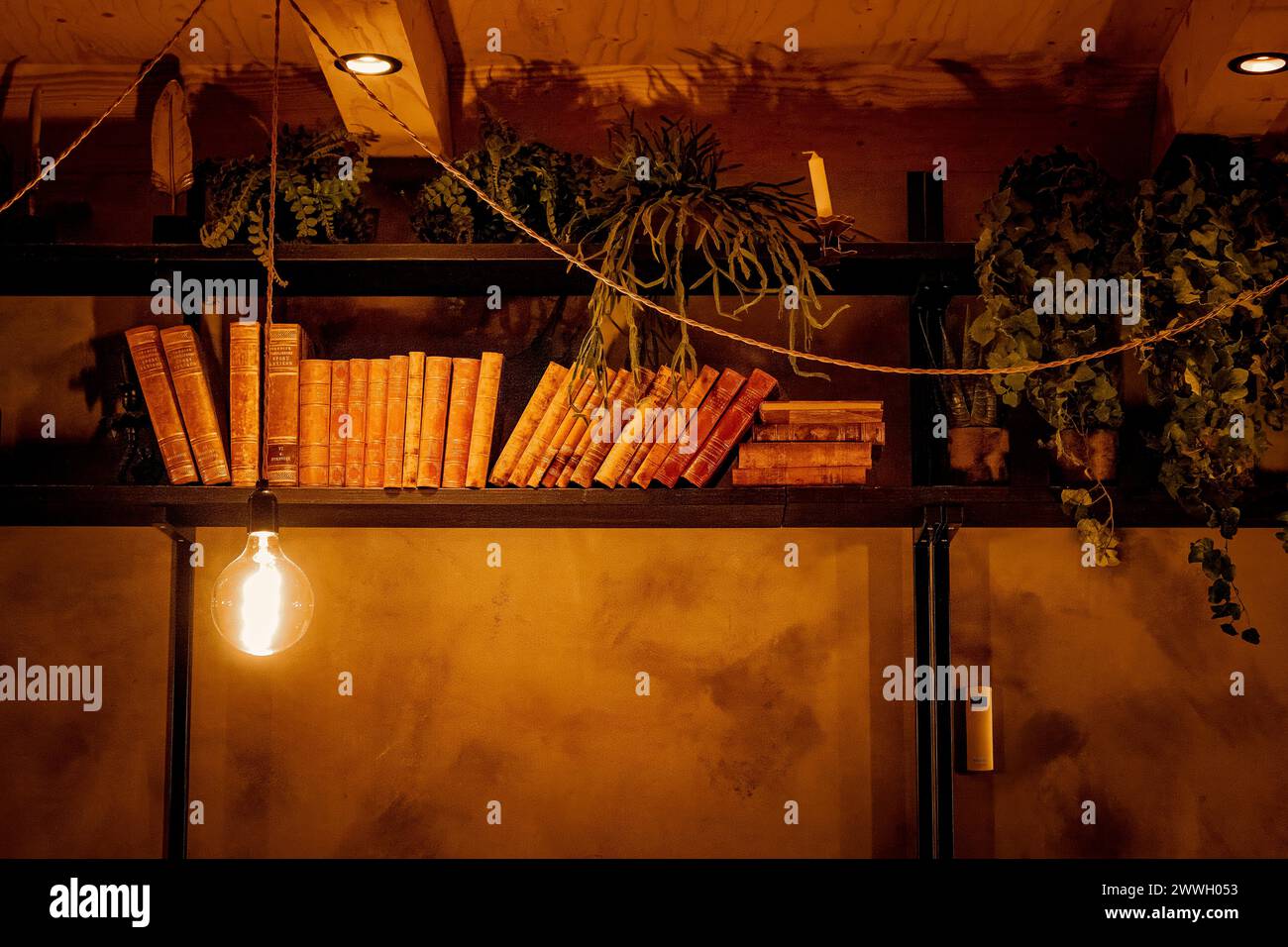 Antique books on a shelf with warm ambient lighting Stock Photo - Alamy