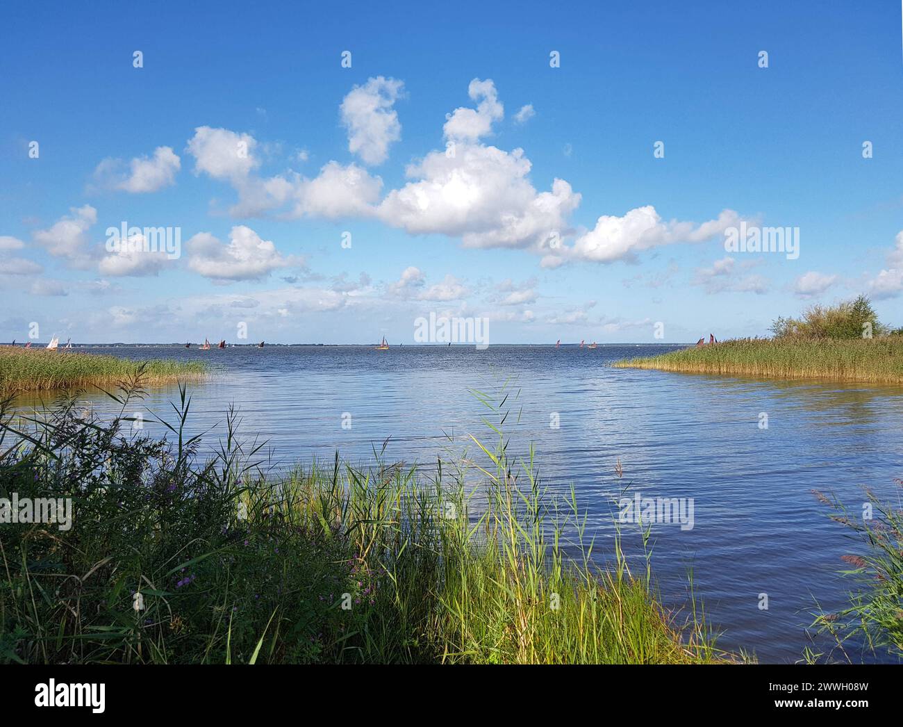 Bodstedter-Bodden ist ein zu einer Lagune entwickelter Bodden, der den ...