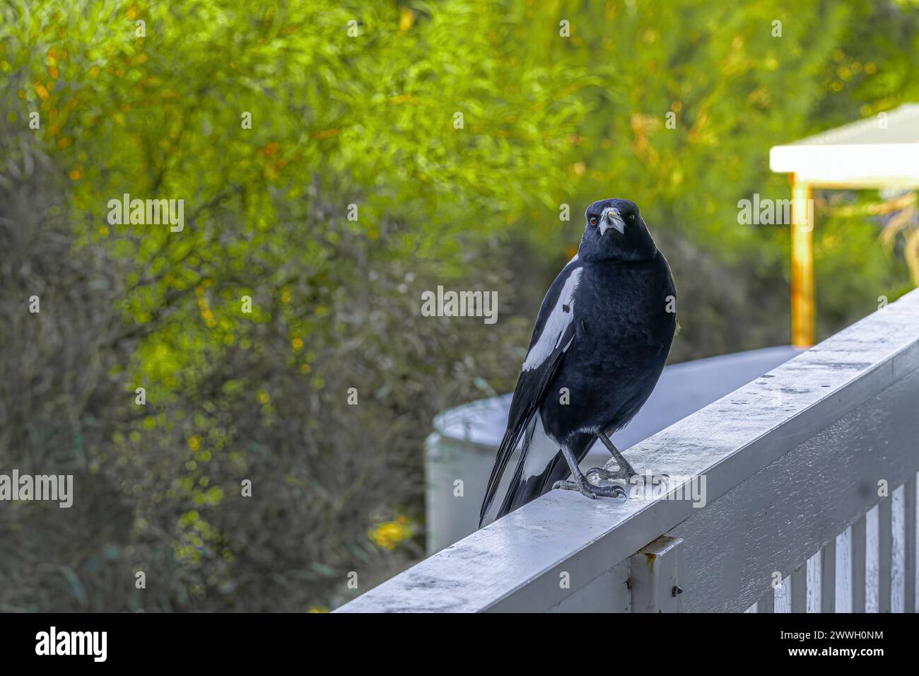 Turning the world on its head hi-res stock photography and images - Alamy